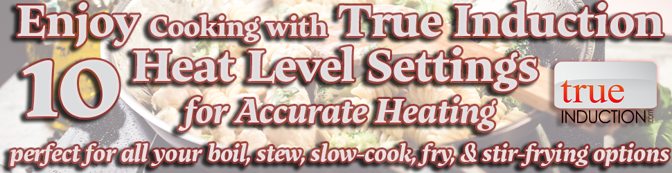 True Induction Stainless Steel Multi-ply Clad Dishwasher Safe Gourmet 3 ...